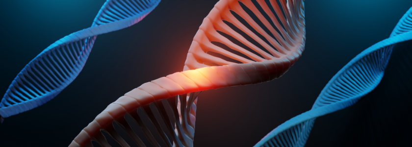 Amplicon Sequencing: An Overview of the Technique and Its Applications ...